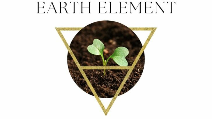 The Ultimate Guide to Astrology Elements: Fire, Earth, Air & Water ...